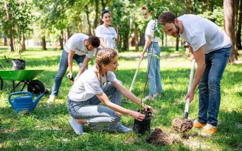 10 Facts about Trees | Reasons Why Should all be Planting Trees