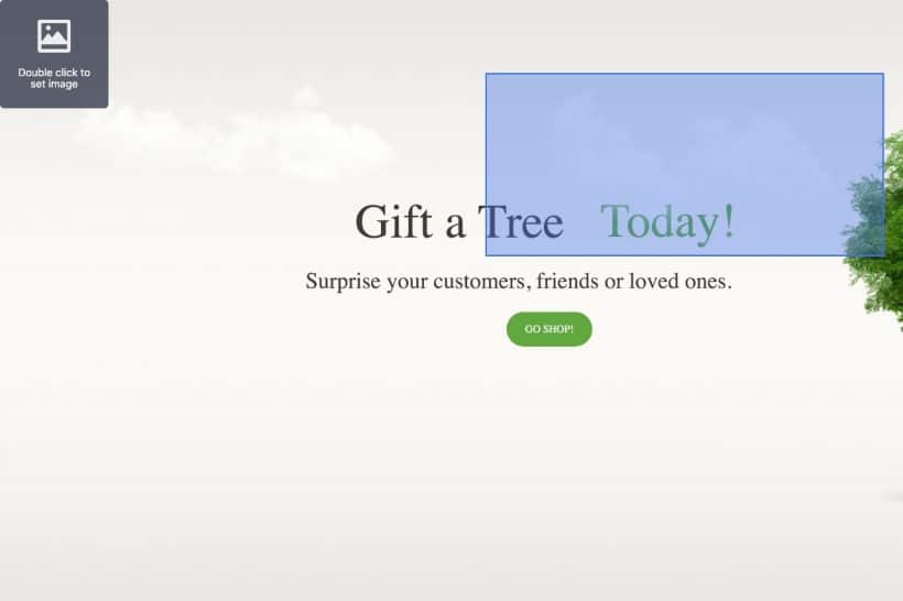 Gift a Tree | Tree Dedication & Planting Service | UK & Worldwide