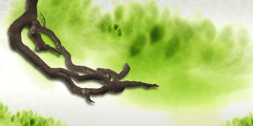 Gift a Tree | Tree Dedication & Planting Service | UK & Worldwide